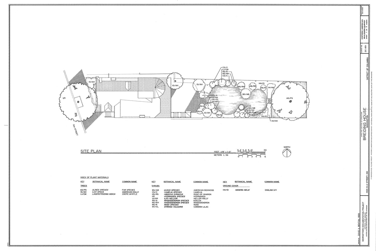 Narrow Lot Victorian Romanesque style home, architectural plans, 3 bed ...